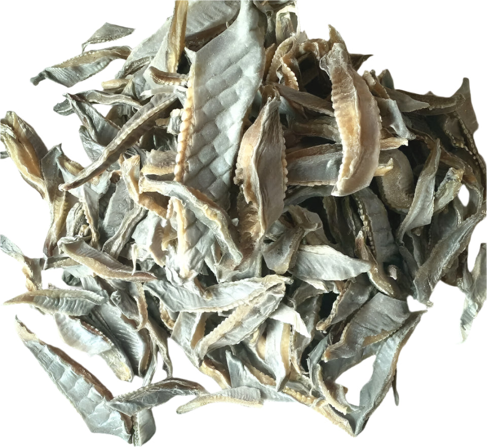 100% Australian, Premium Dehydrated Shark Dog Treats - Hypoallergenic ...